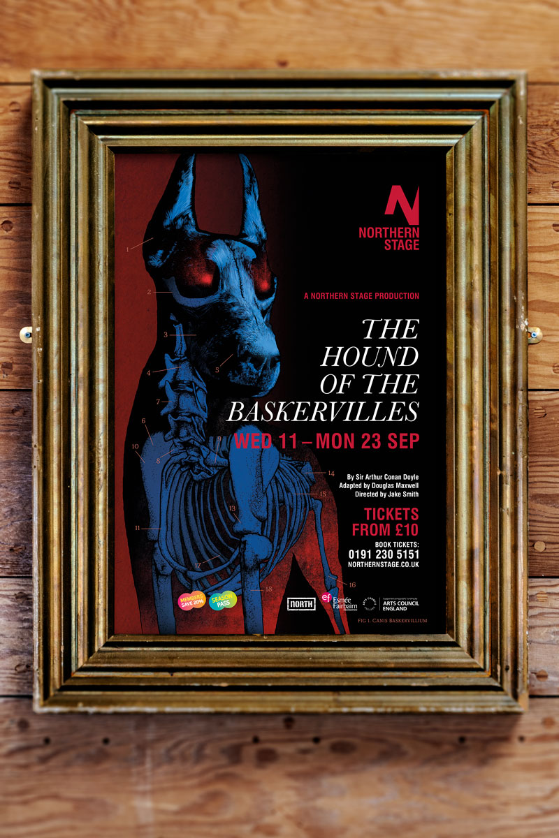 Northern Stage key art and poster designs - Velcrobelly. Graphic design ...