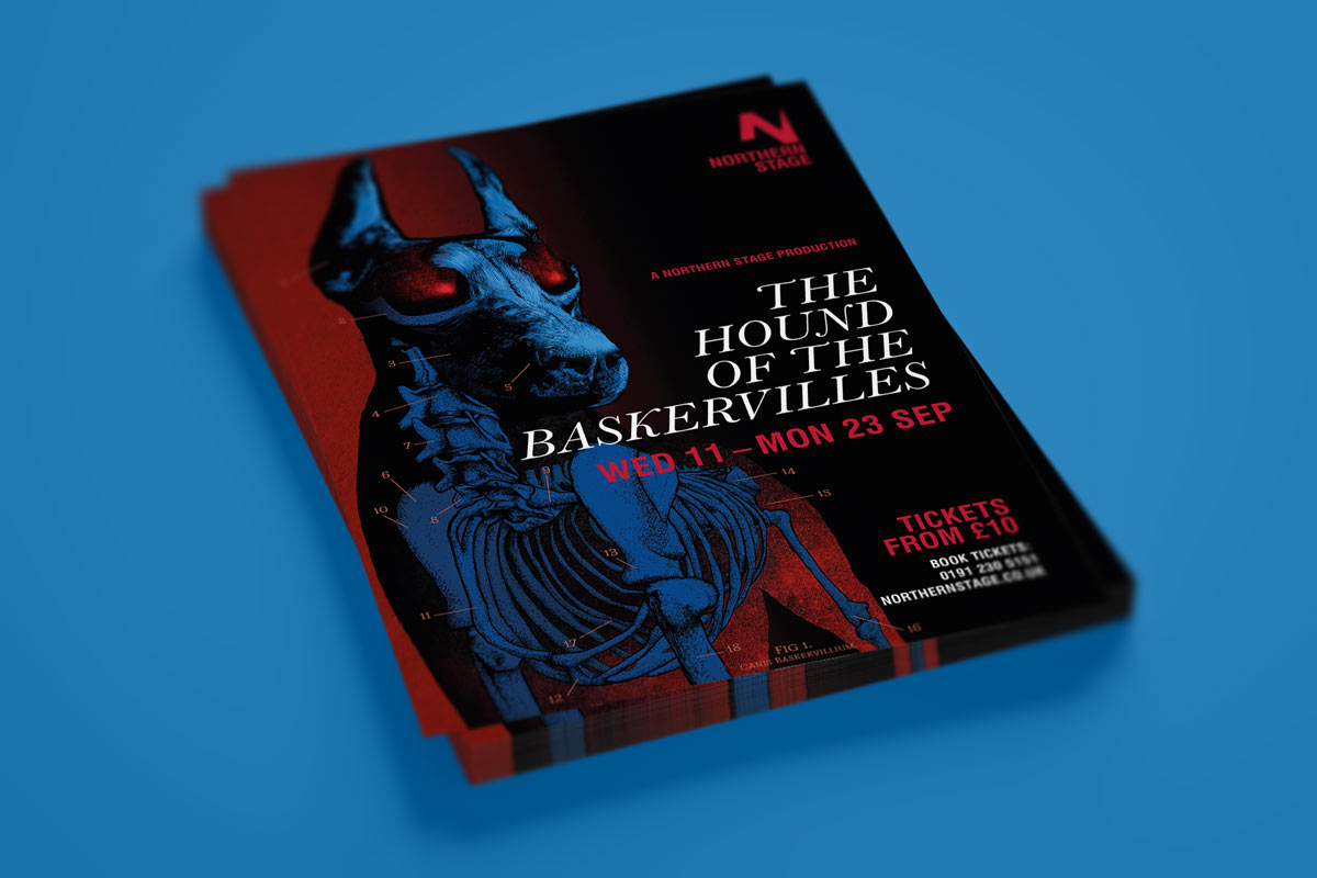 Northern Stage key art and poster designs - Velcrobelly. Graphic design ...